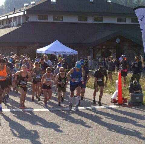 Ned Ned Run | Embark on your journey by winding through Old Town ...