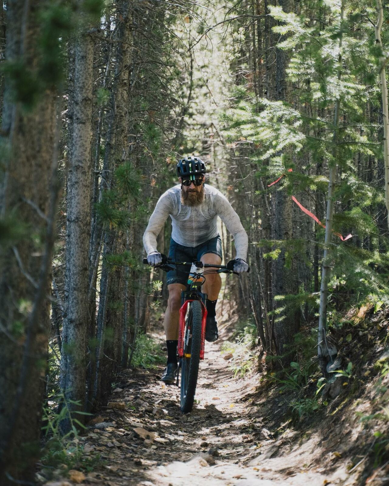 Ned Ned Run | Embark on your journey by winding through Old Town ...